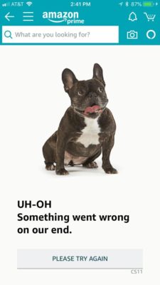 Amazon crashes on "Prime Day"