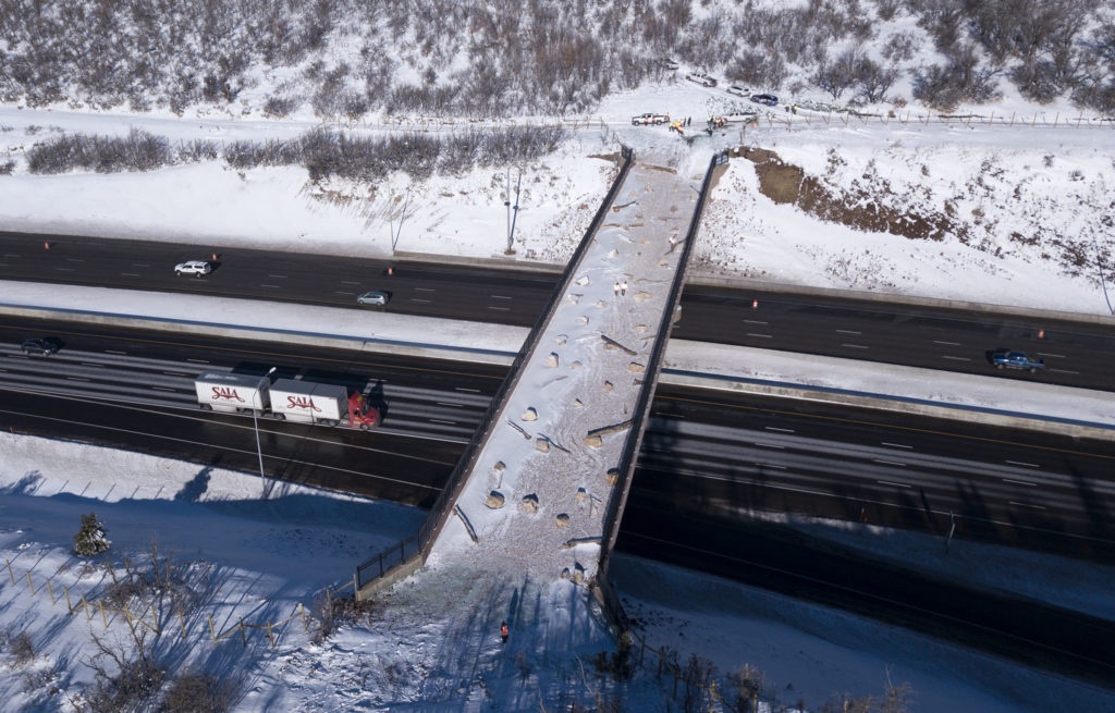 Wildlife bridge crossing opens over I-80 in Parleys Canyon