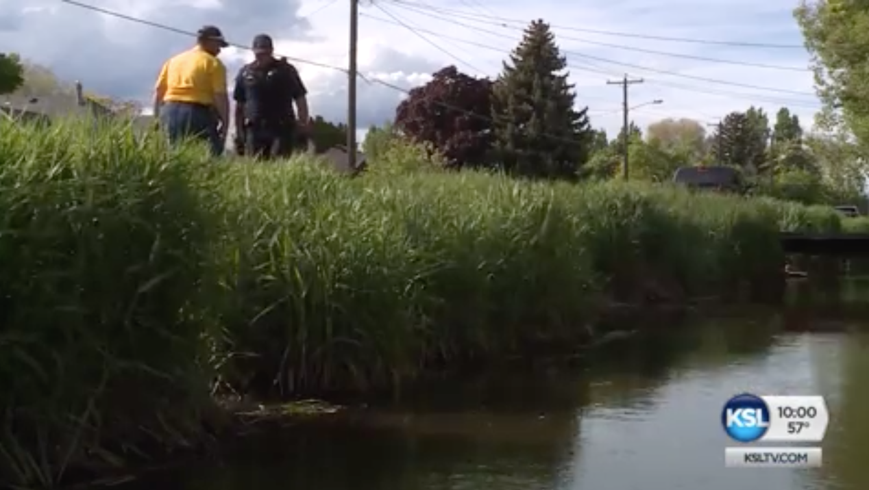 Search continues for missing Logan girl - KSLNewsRadio