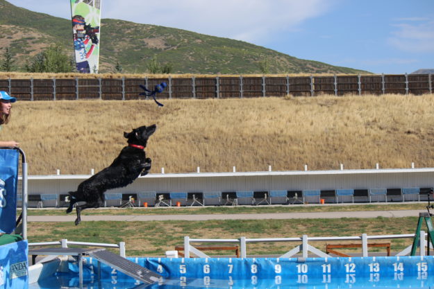 5 awesome animal activities in Utah for you and the whole family ...