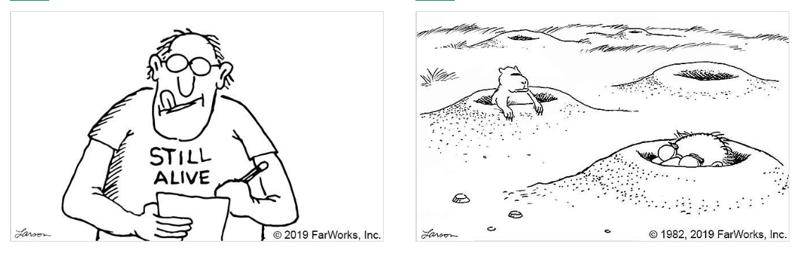 After 25 years, 'The Far Side' is back -- with an online debut and new ...