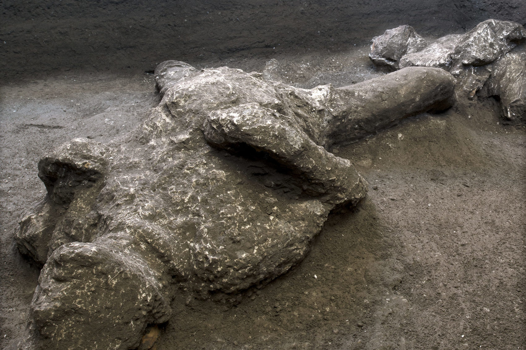 A new exhibit shows plaster casts of Pompeii victims frozen at the time ...