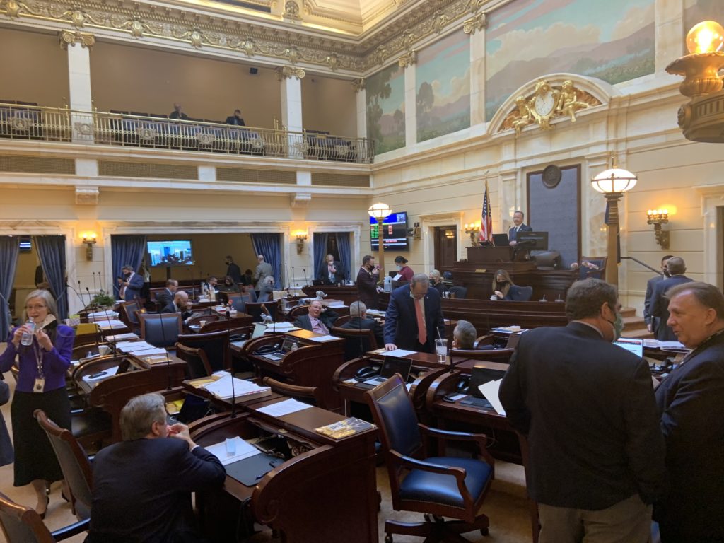 Ally Isom announced she's running for US Senate