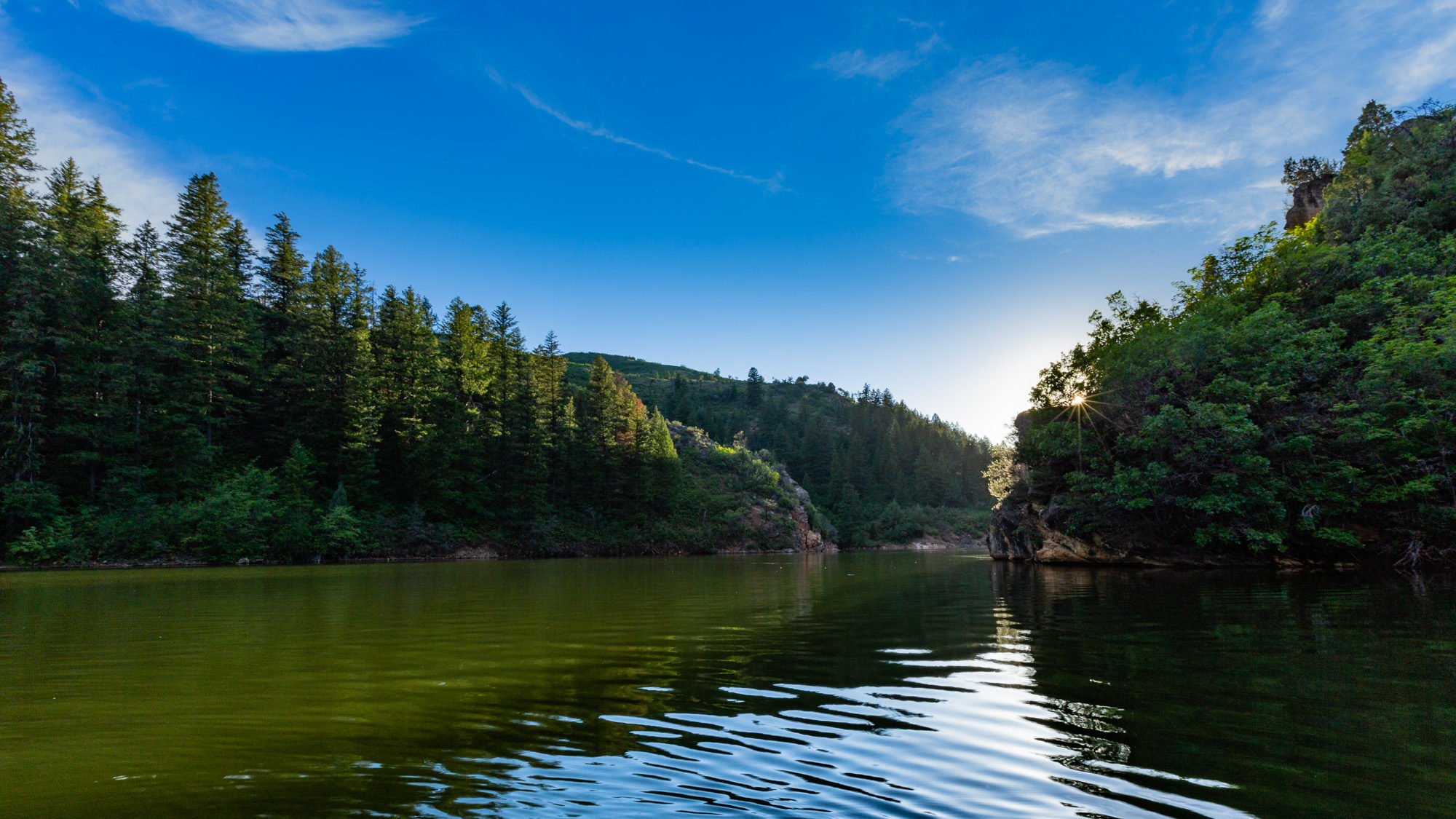 Many leads but no answers in search for body of Joyce Yost