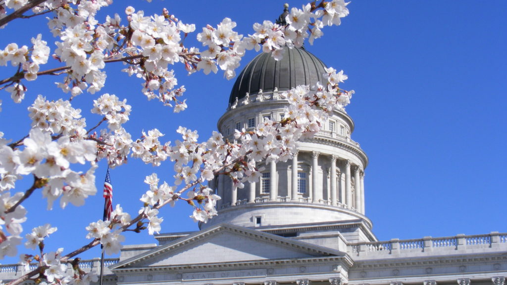 Get to know the new likely chair of the Utah Republican Party ...