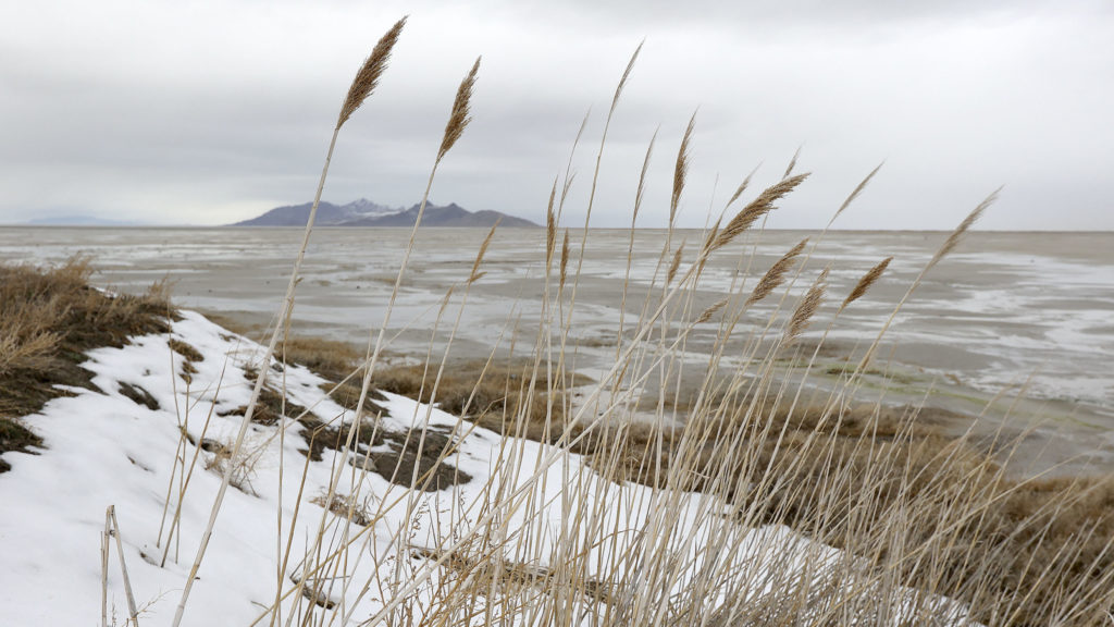 Despite lack of January snow, Utah is still on track for the water year ...
