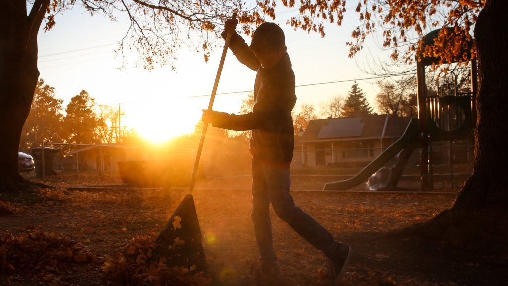 Jeff Caplan's Minute of News: Dead Leaves? AGAIN?!?
