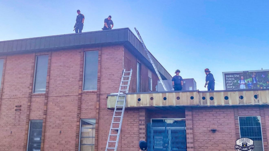 Rooftop burglary suspect in Ballpark neighborhood arrested by police