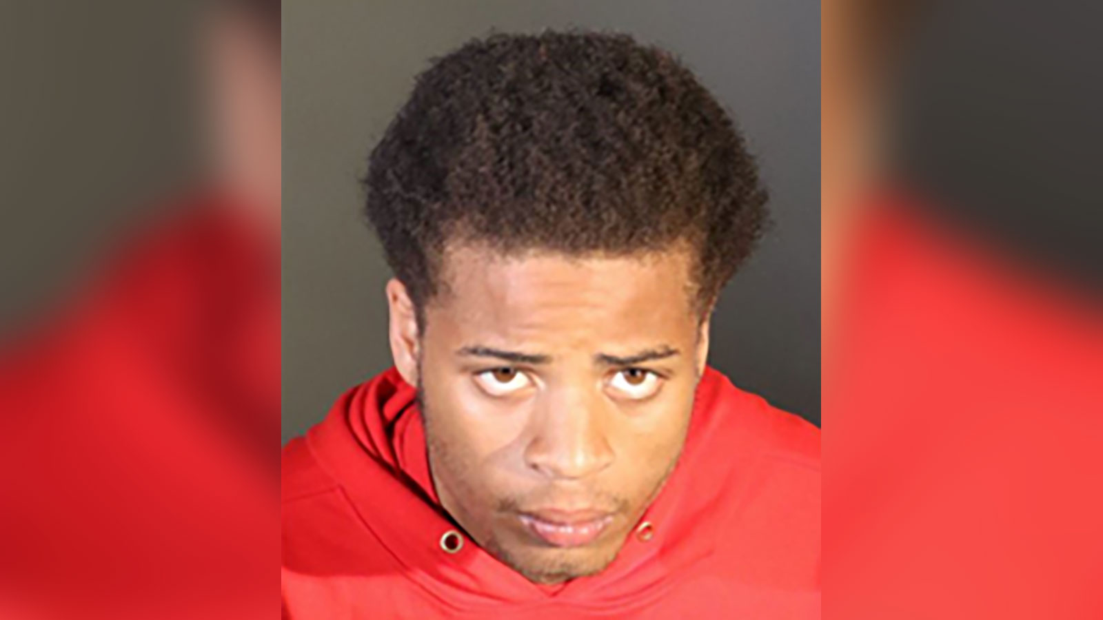 Man involved in shooting Lady Gaga's dog walker sentenced to prison