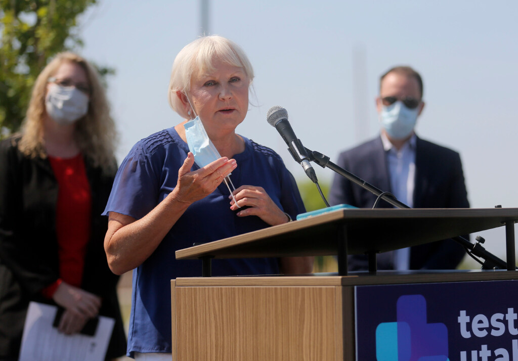 Utah Dems to hold special election filling the seat of Sen. Karen Mayne ...