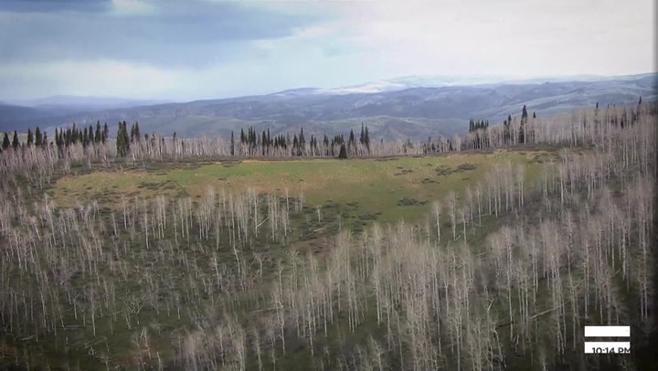 COLD: The untold story of the search for Sheree Warren’s remains, part 2