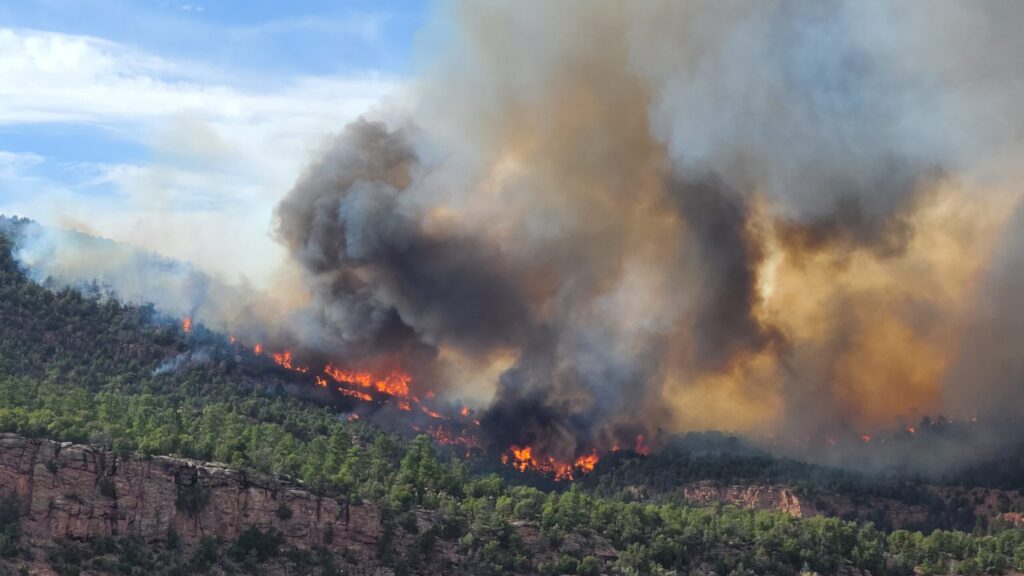 Wildfire near Flaming Gorge grows to 100 acres