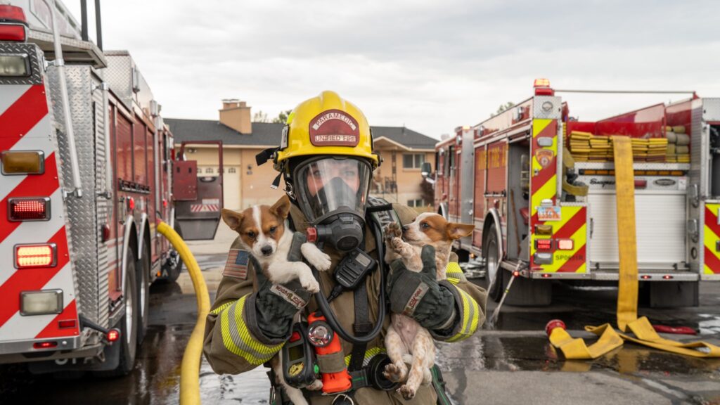 Four dogs safely rescued from house fire in Salt Lake County - KSLNewsRadio