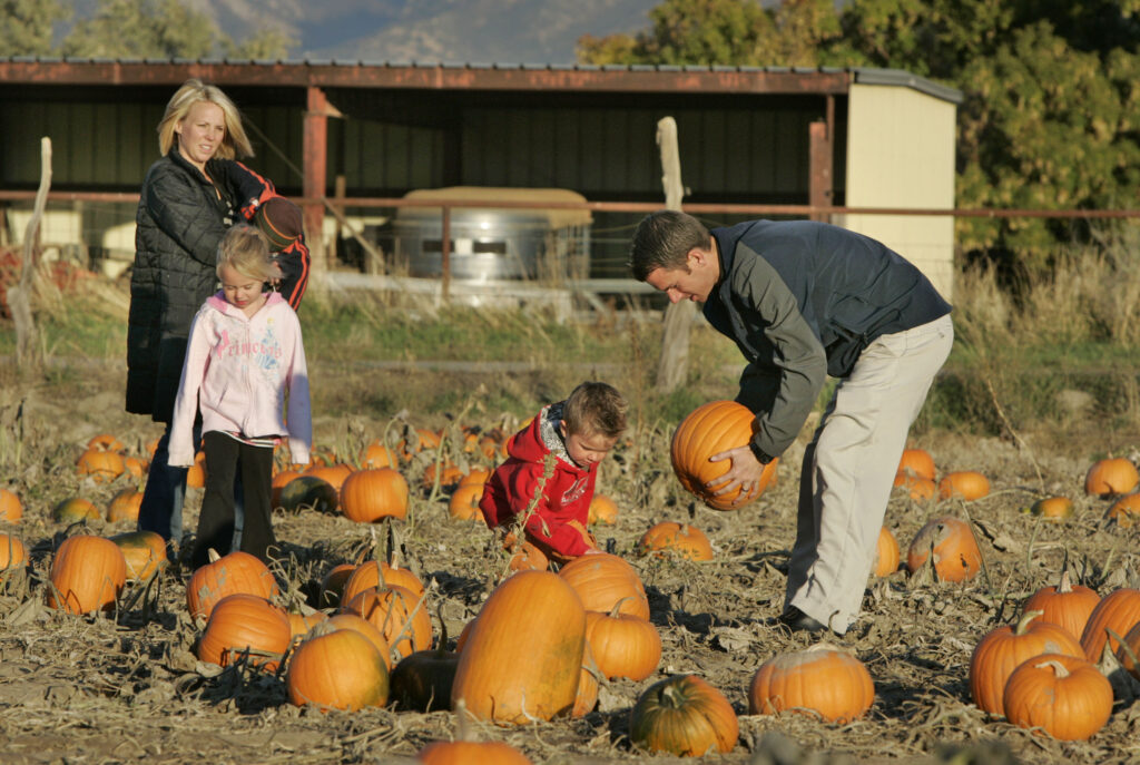 Tips for picking the perfect pumpkin