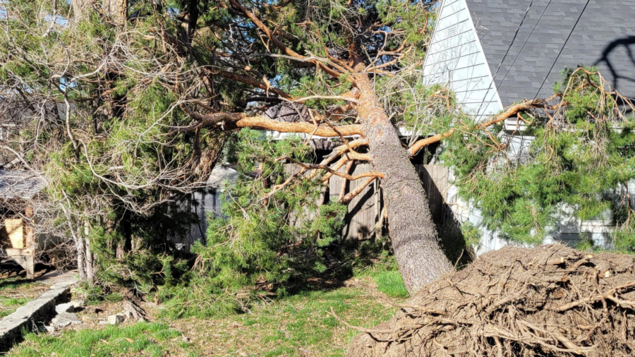 Why recent wind storms in Utah have been so powerful